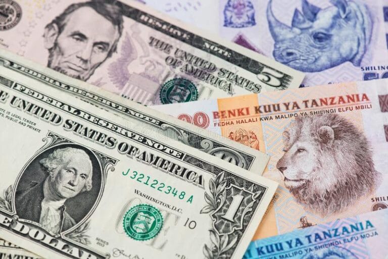 Currency in Zanzibar | A guide to Tanzania Shillings (TZS)