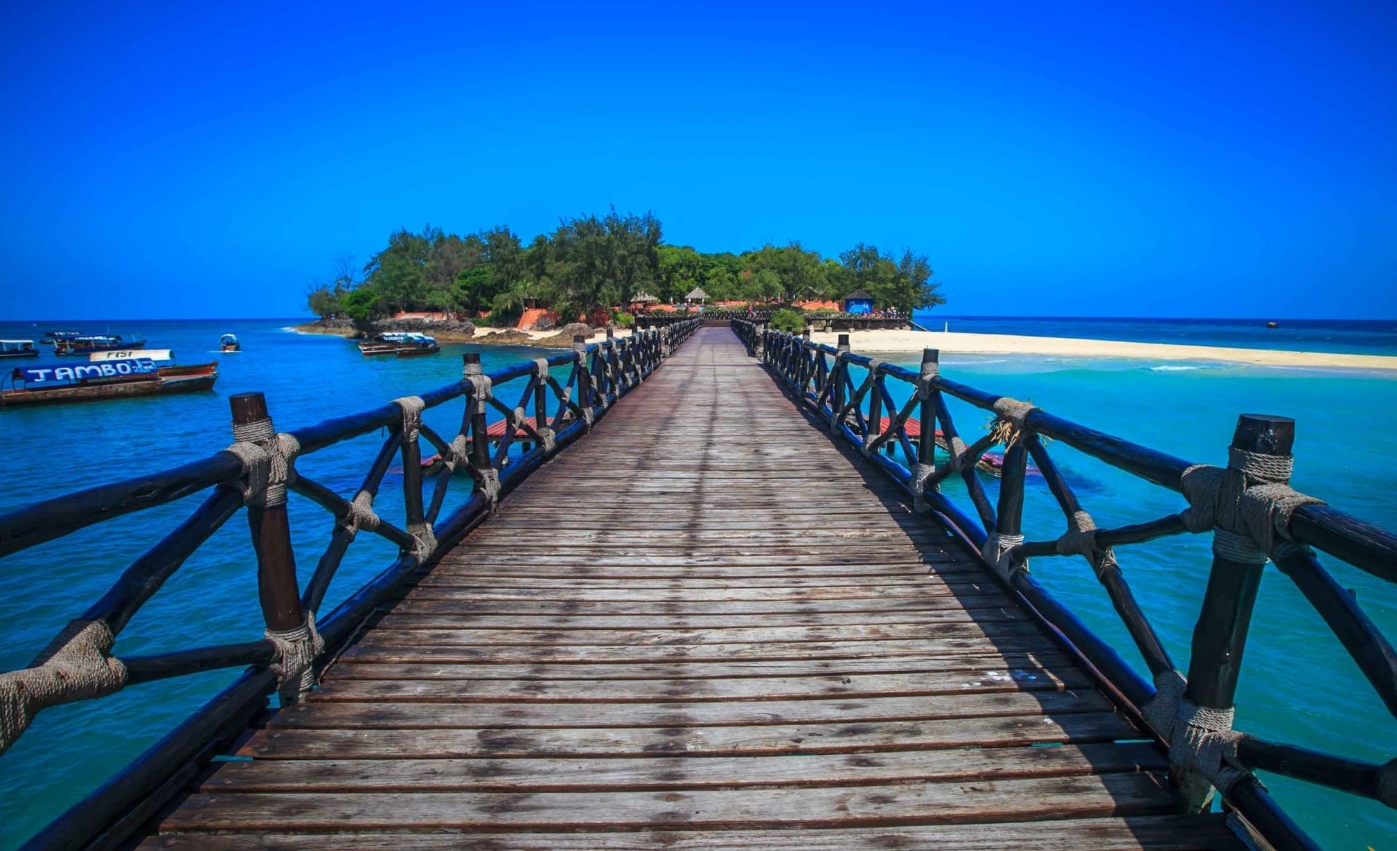 Prison Island Tour Zanzibar Dynasty Tours Safaris Prison Island Tour Zanzibar Dynasty Tours Safaris