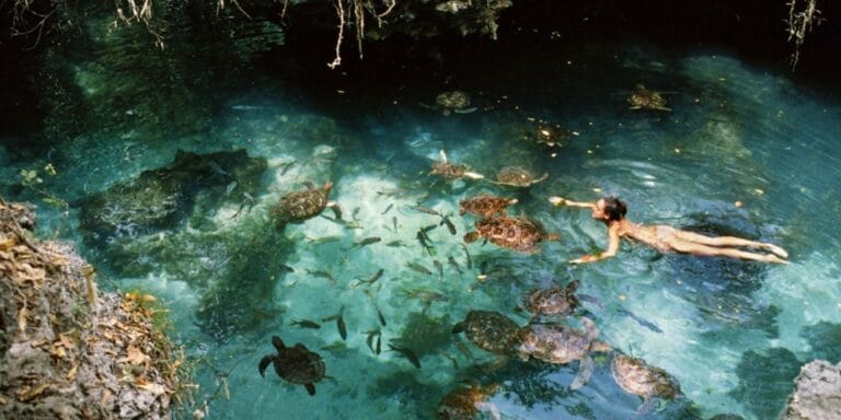 Swimming with Turtles in Zanzibar: An Adventure of a Lifetime!